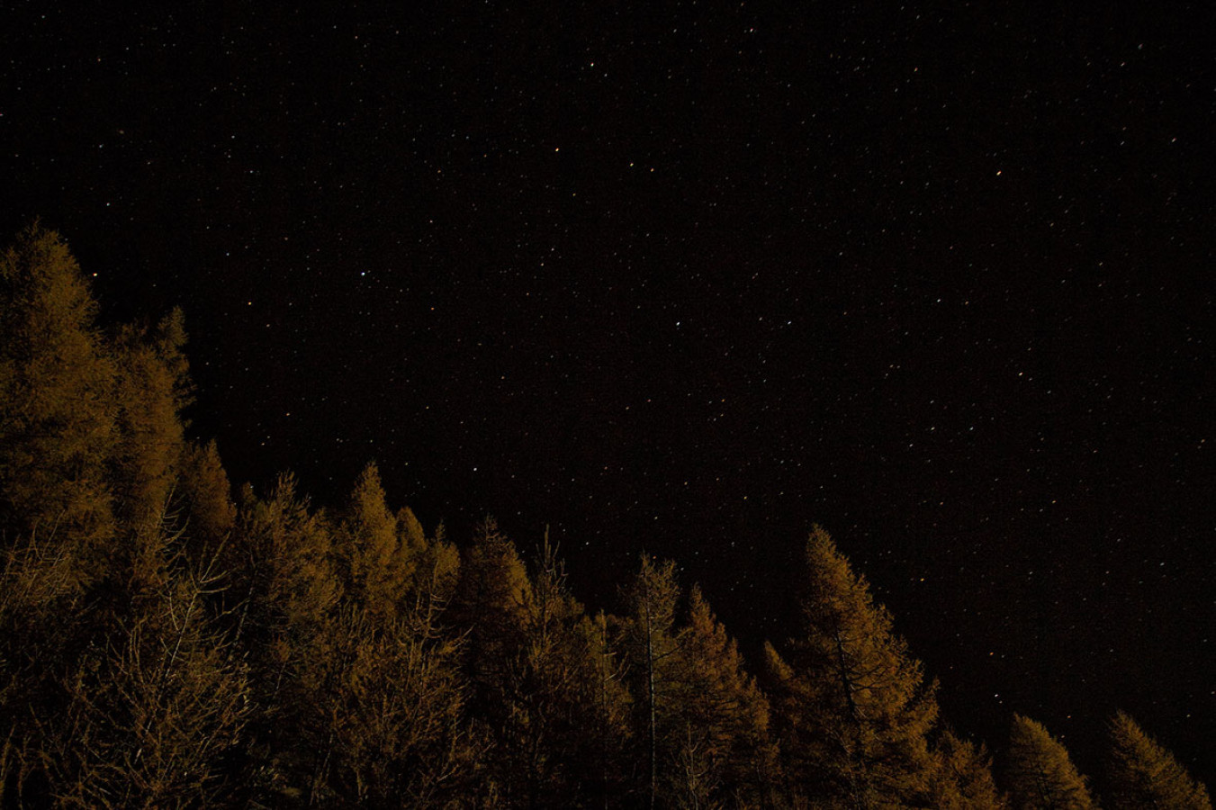 Nacht van de Nacht - wandeling Heemskerk